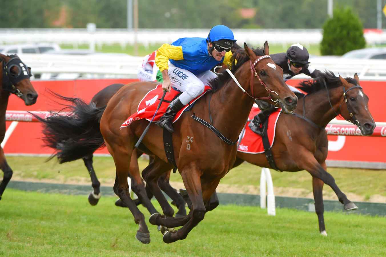 Black Heart Bart odds-on in Futurity Stakes