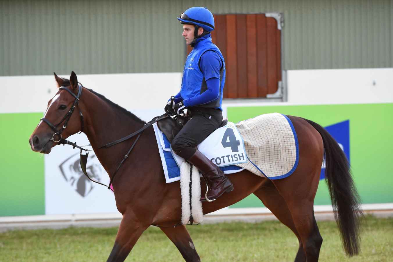 Scottish scratched from G1 Emirates Stakes