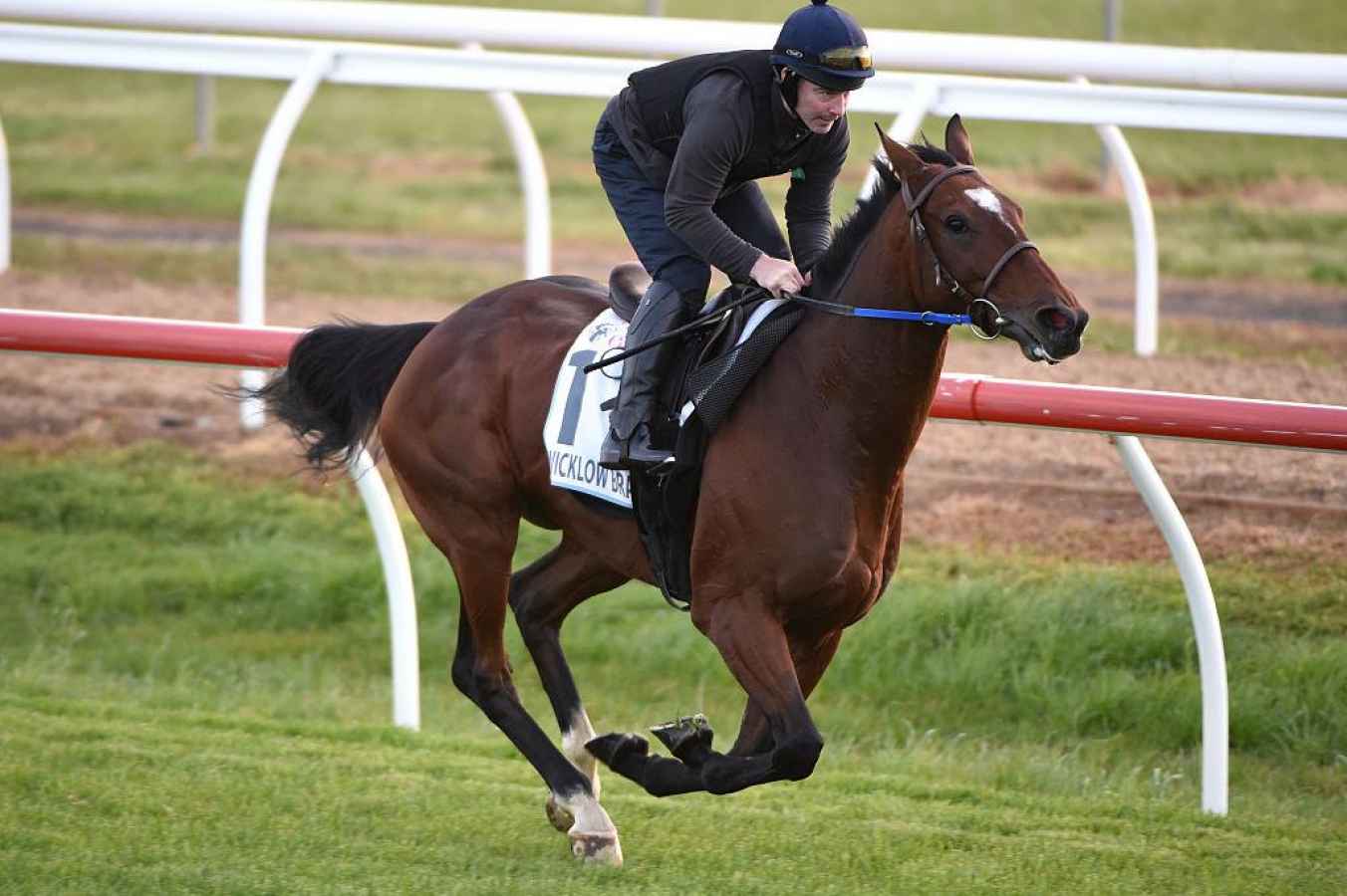 Strong gallop for Wicklow Brave at Geelong