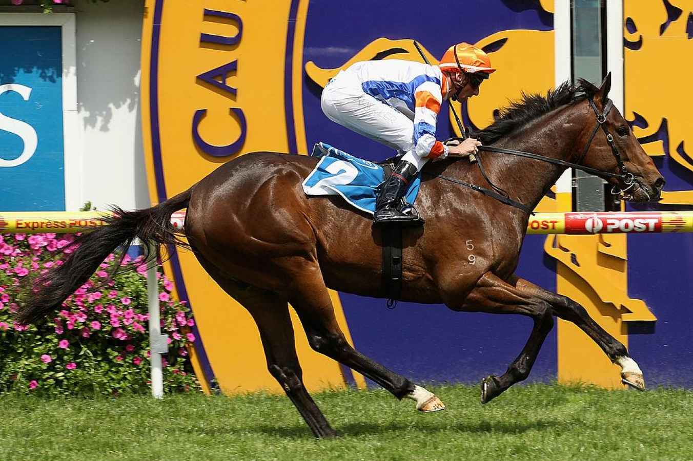 Flemington track rating to suit Jimando