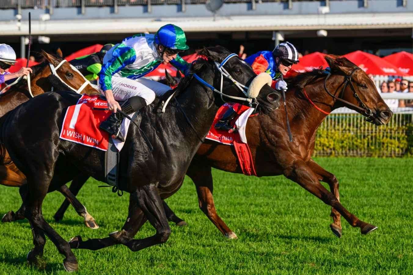 Doomben 10,000 Field - 2025