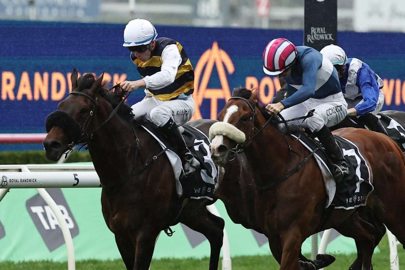 Athabascan primed for Melbourne Cup qualifier Andrew Ramsden Stakes