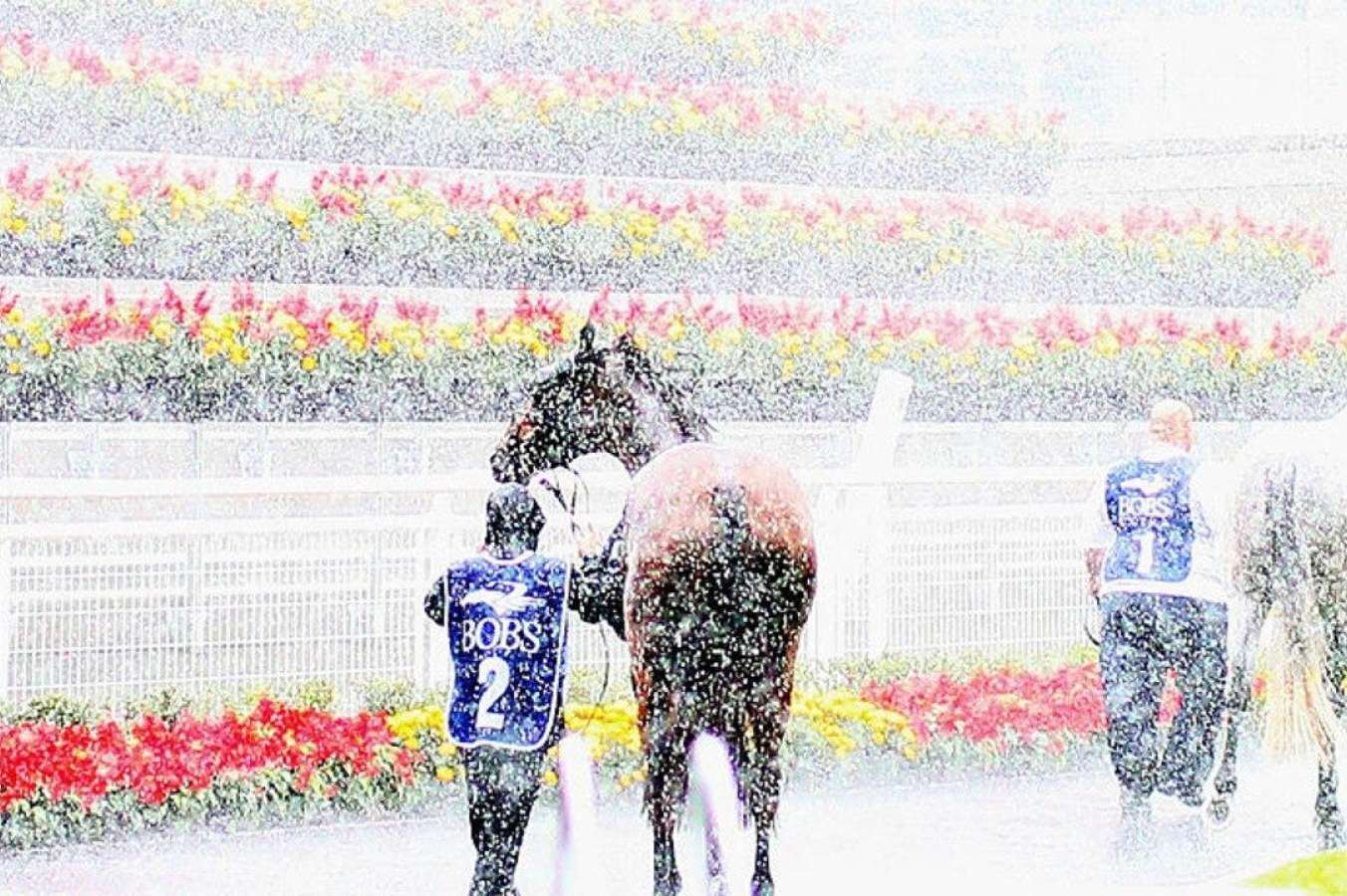 Rain in NSW puts a number of race meetings in doubt