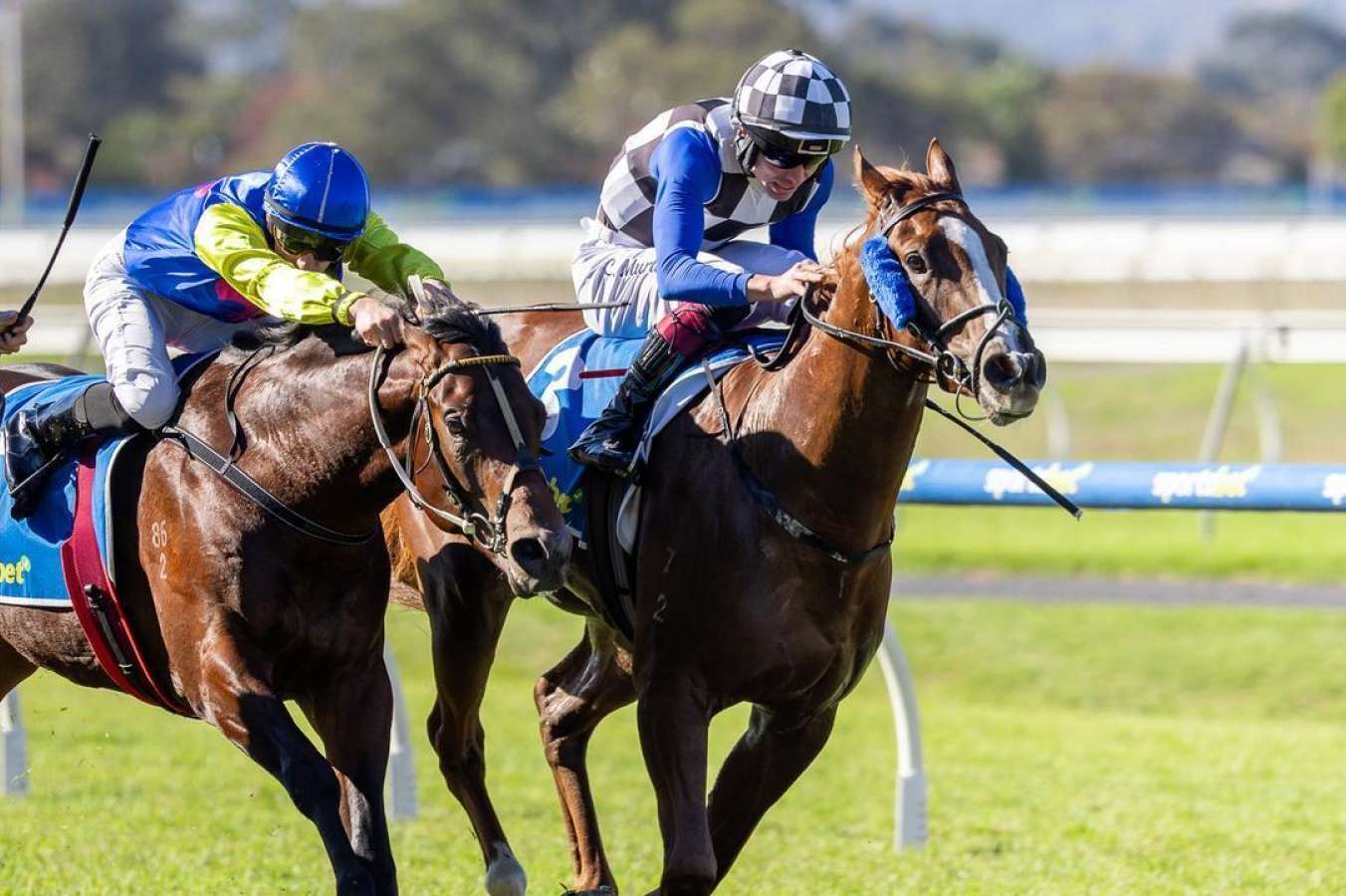 Travis Doudle claims impressive victory on important day at Morphettville