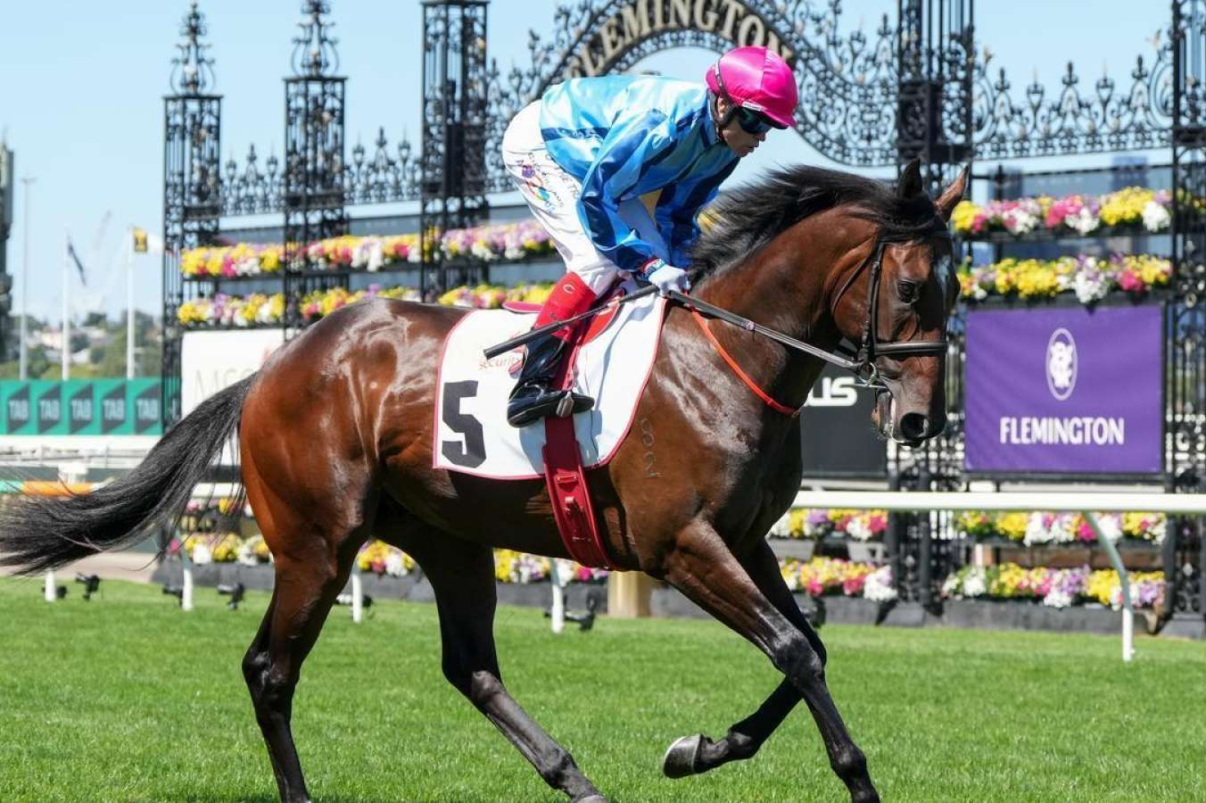 Punters best bets multi for racing on Saturday, June 28