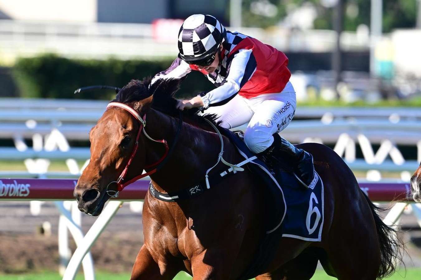 The Inflictor bounces back to win Tatts Mile at Eagle Farm