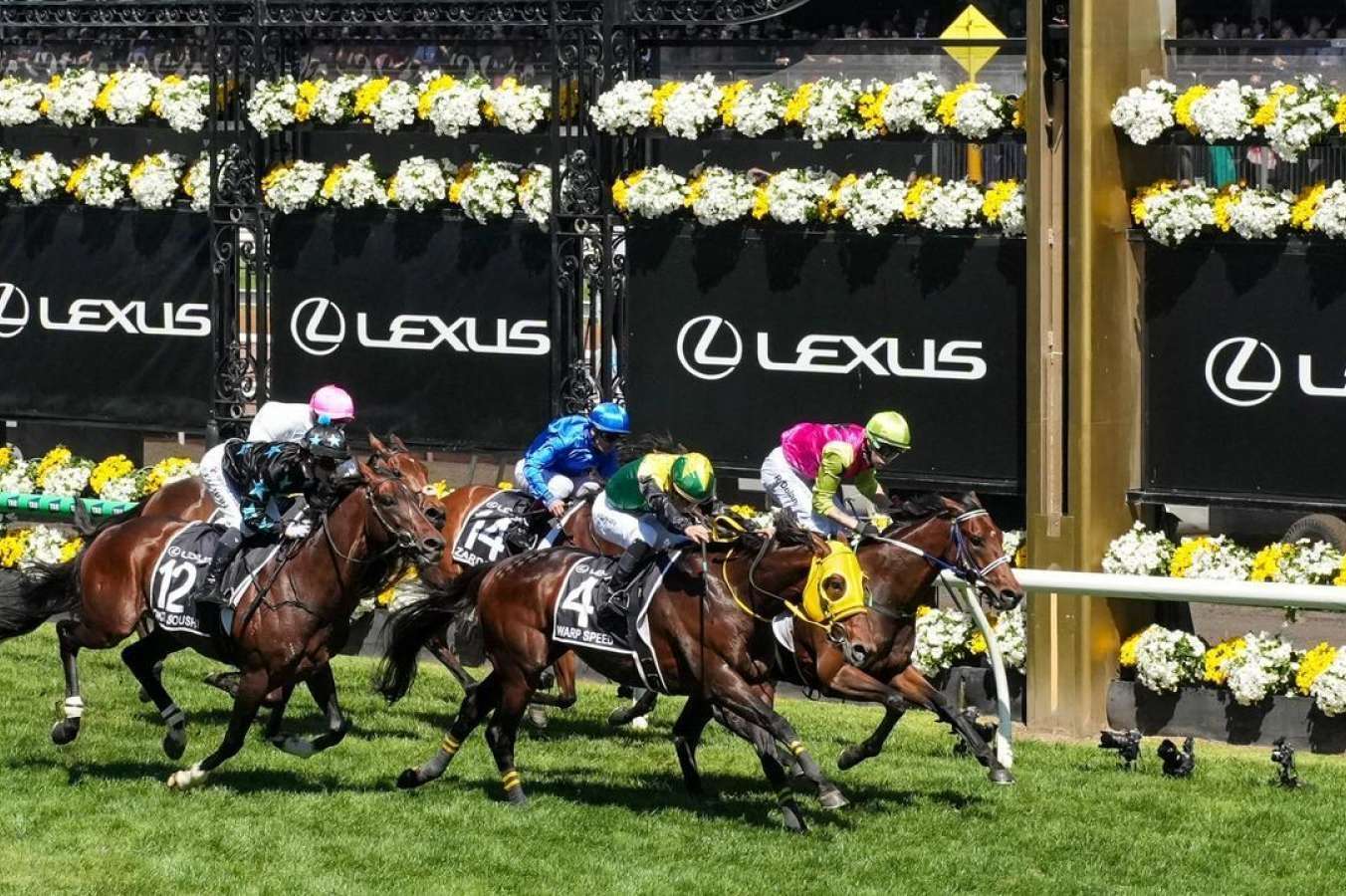 Cup champ Knights Choice set for exhibition gallop on Sunshine Coast