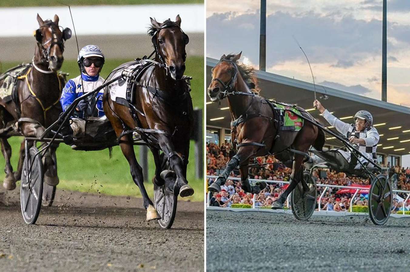 2025 Inter Dominion: Star pacers Don Hugo, Leap To Fame dealt tricky ...