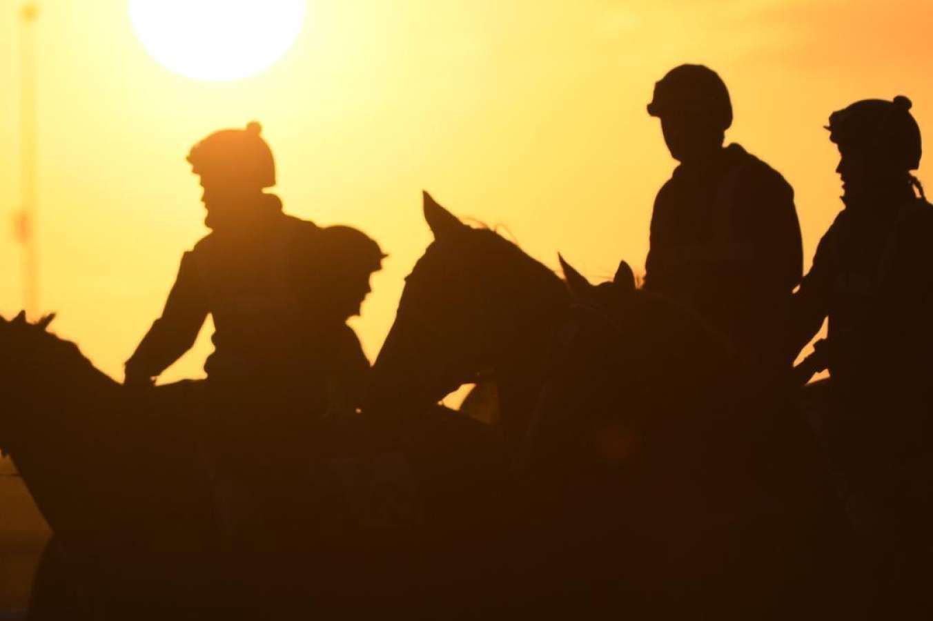 Stable employee dies after suspected kick from horse at Cranbourne track