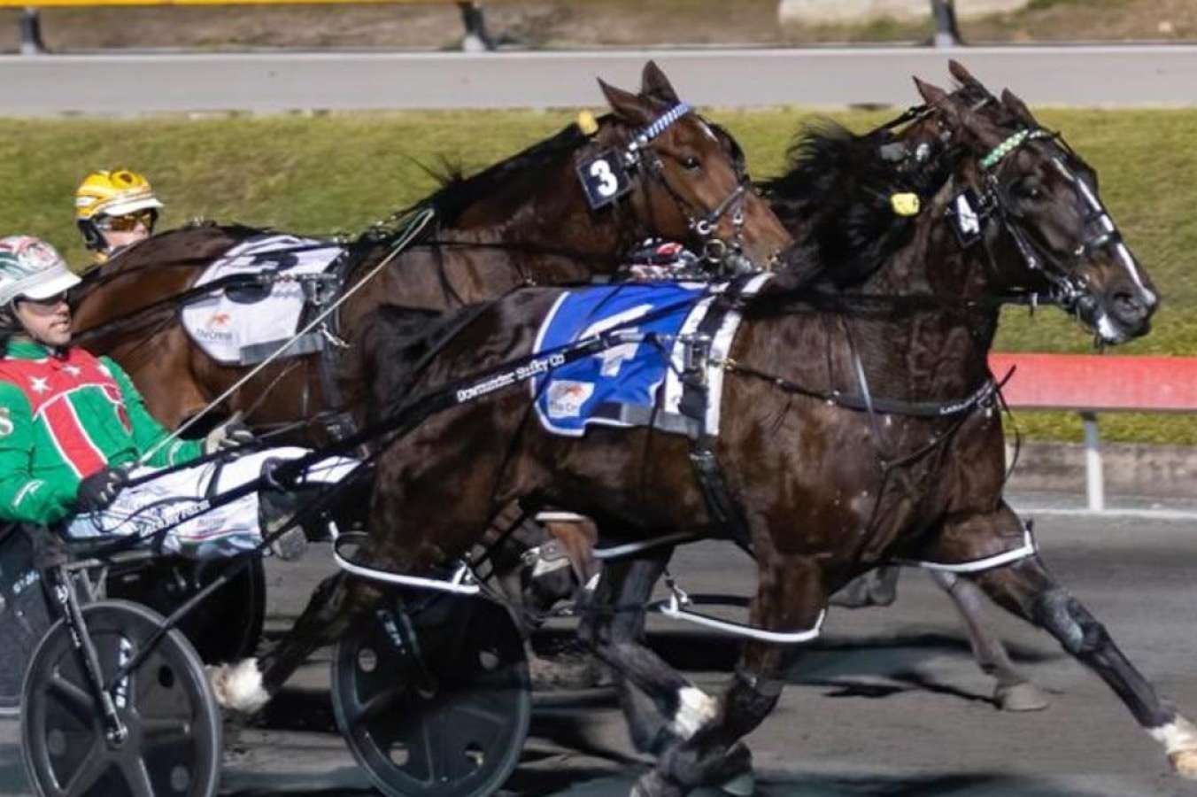 Jess Tubbs frustrated stablemates Better Eclipse and Rakero Rebel will ...