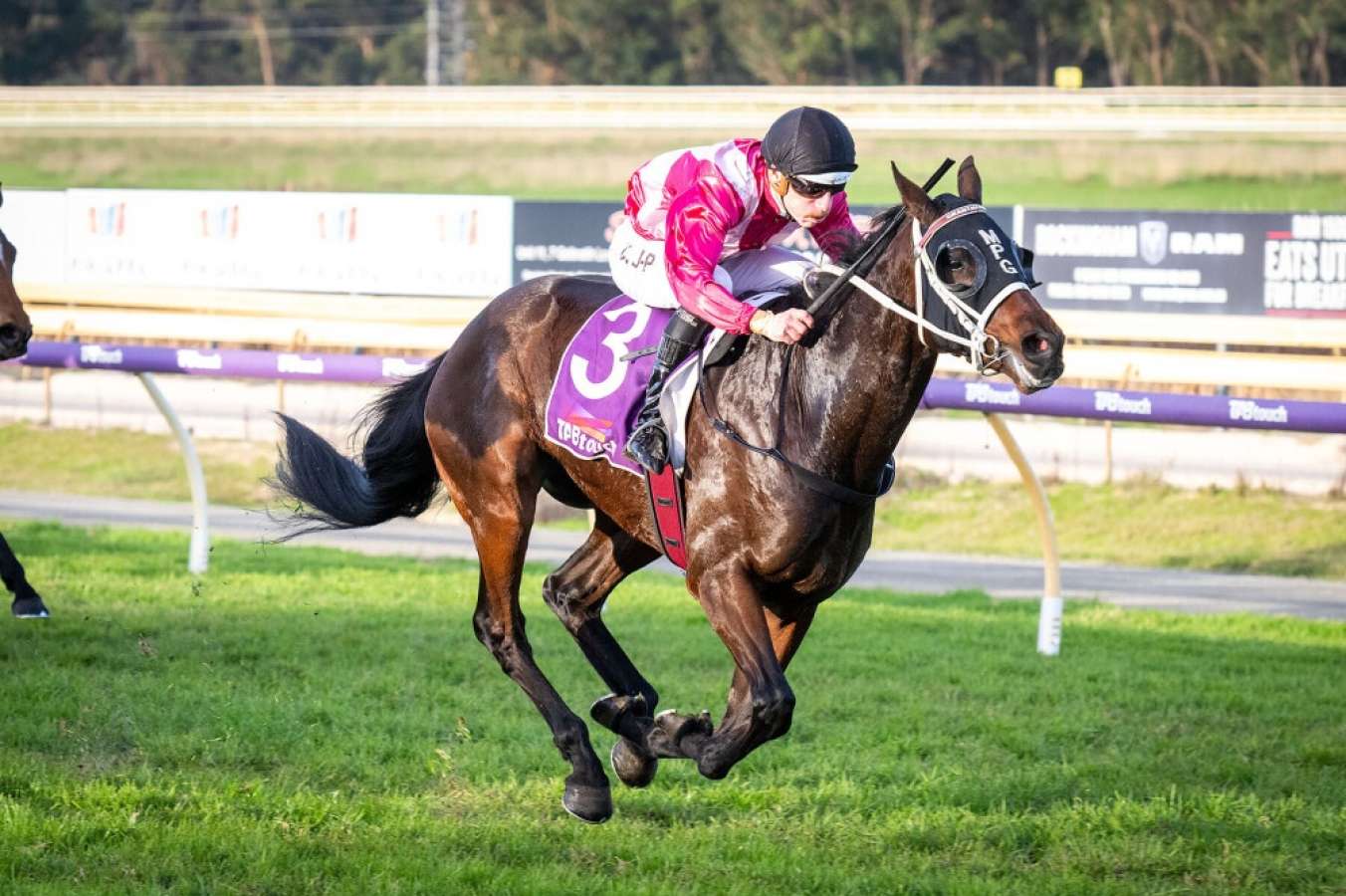 Unbeaten West Australian 3YO to face one more test before heading for a ...