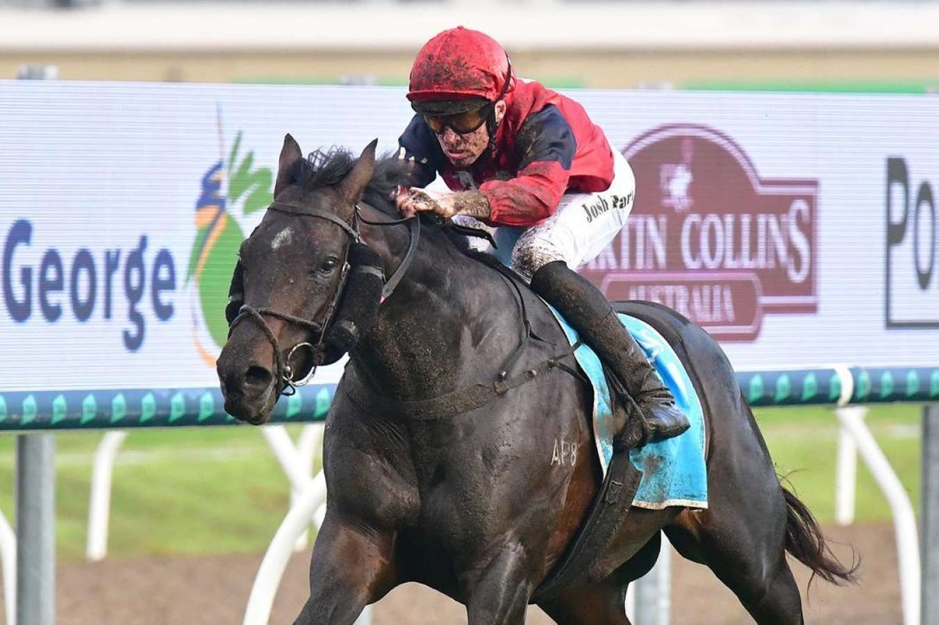 Bosustow honours footy great with dominant Guineas win