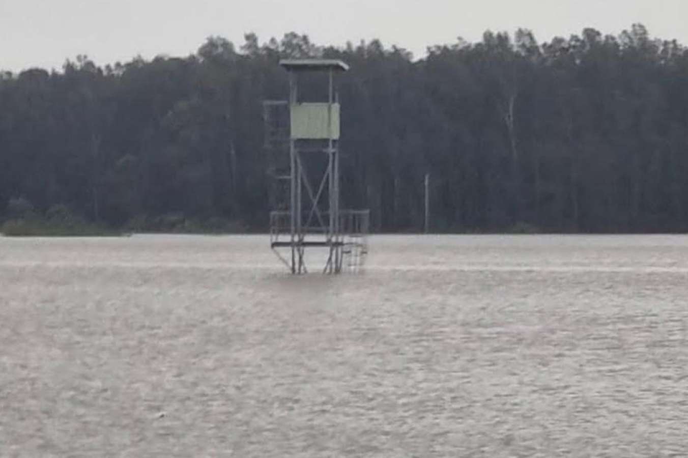 Taree racetrack underwater after record flooding in the area