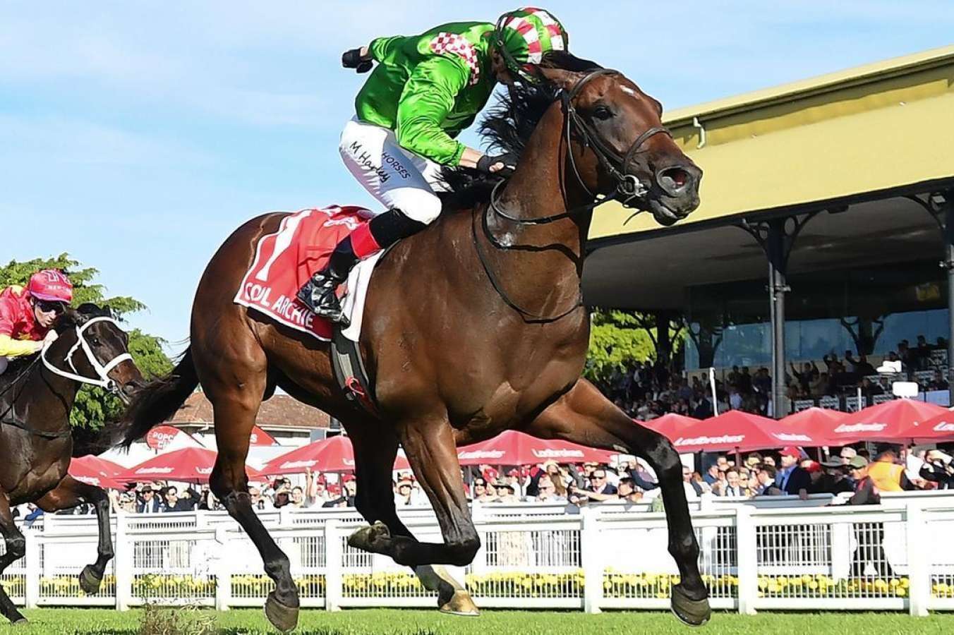 Cool Archie subject of huge offers from studs after JJ Atkins