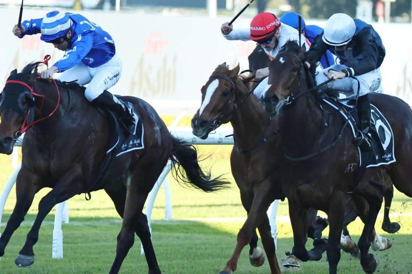 Lulumon bounces back with stunning Randwick win