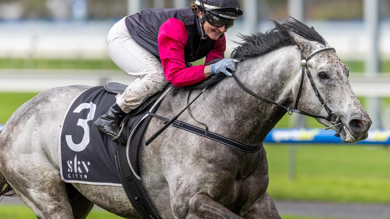 SA recap: Milnes dominates, Shecky back on winner's list - Punters