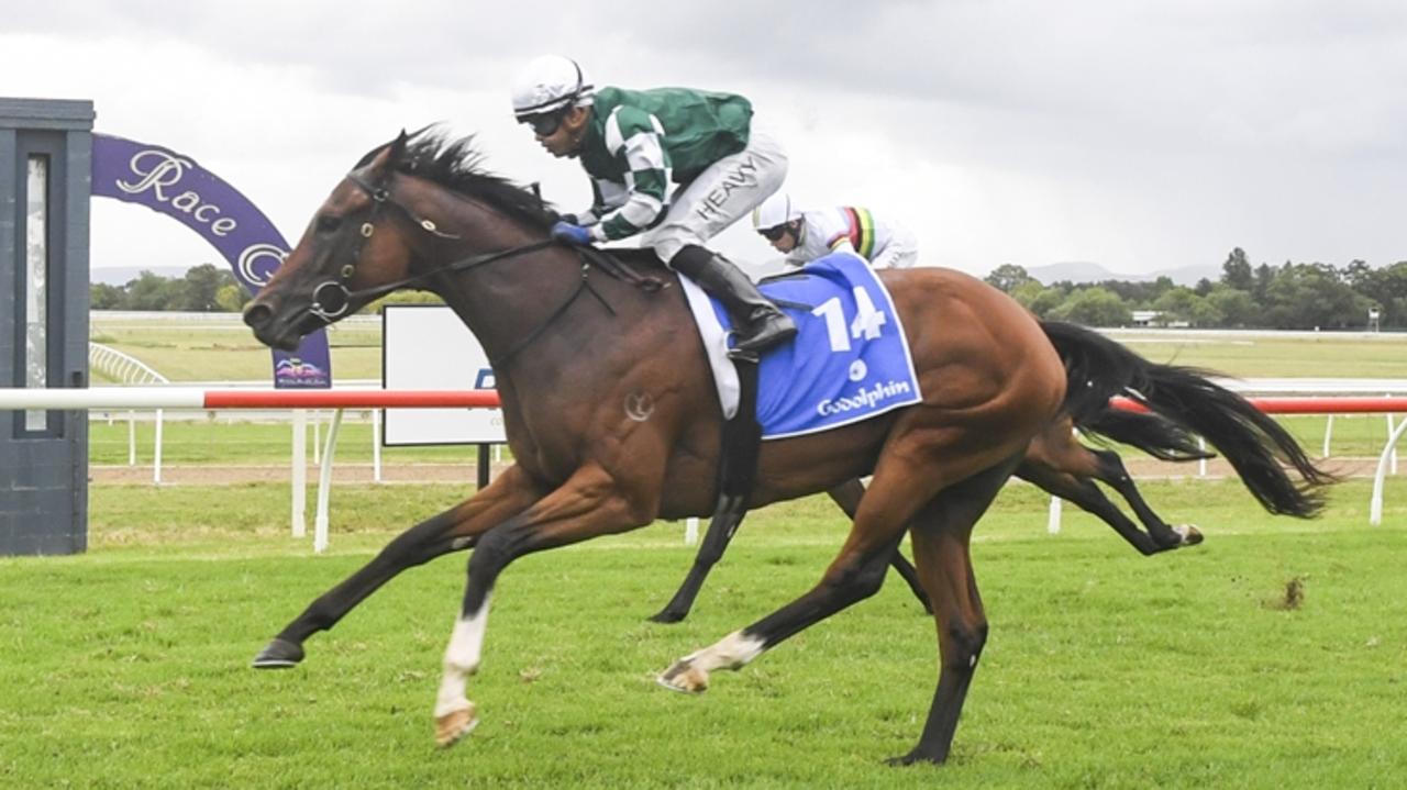 Trainer Denim Wynen saddles up Sunshine Law at Rosehill