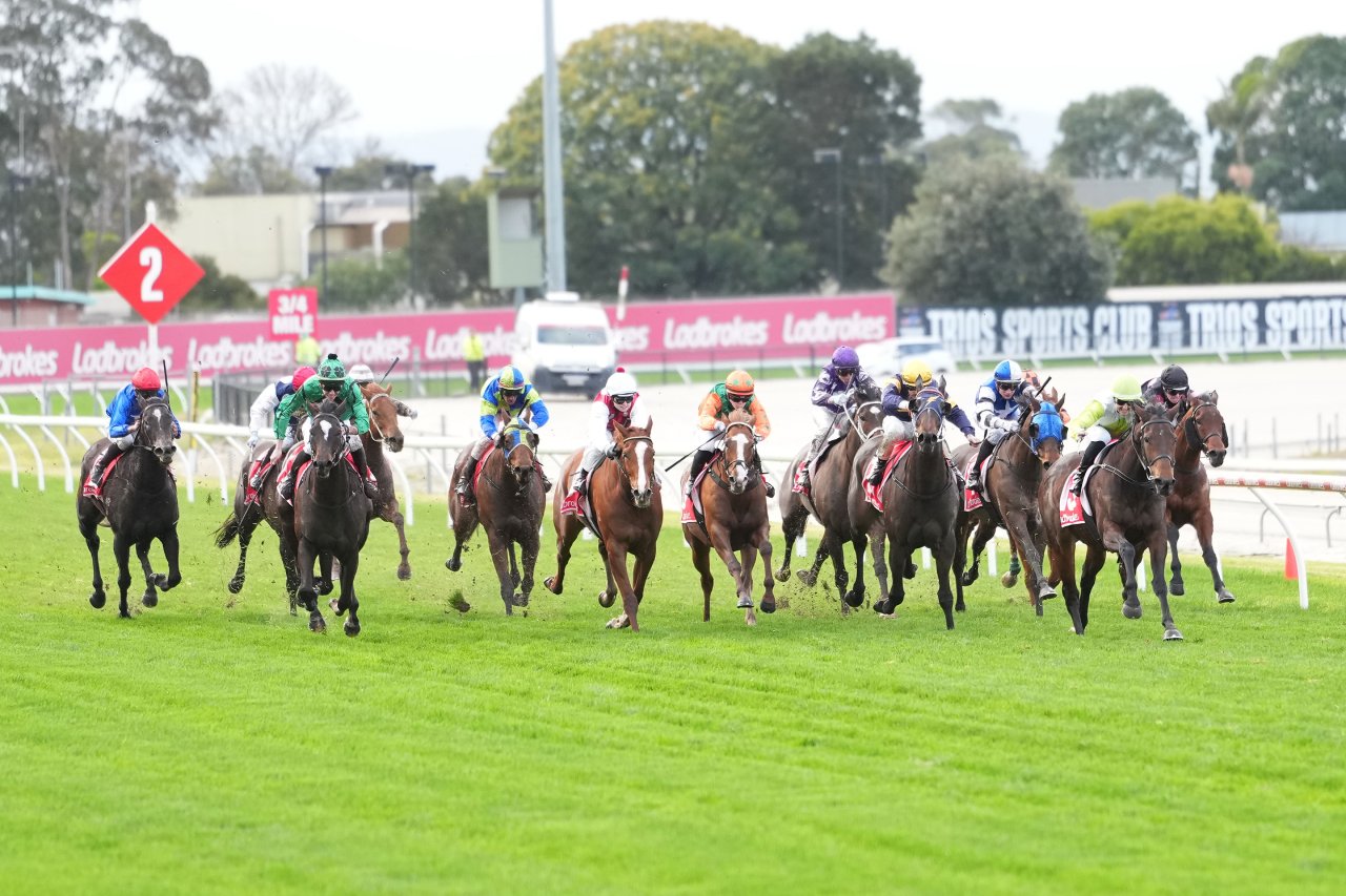 Best bets and expert tips for Cranbourne races Friday
