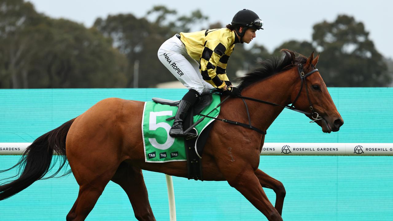Matthew Dunn eyes The Kosciuszko with emerging mare