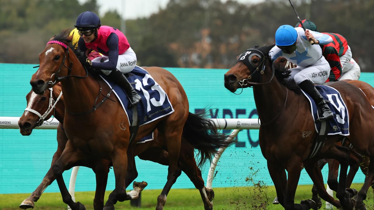 Sunshine Law delivers first city win for Denim Wynen at Rosehill
