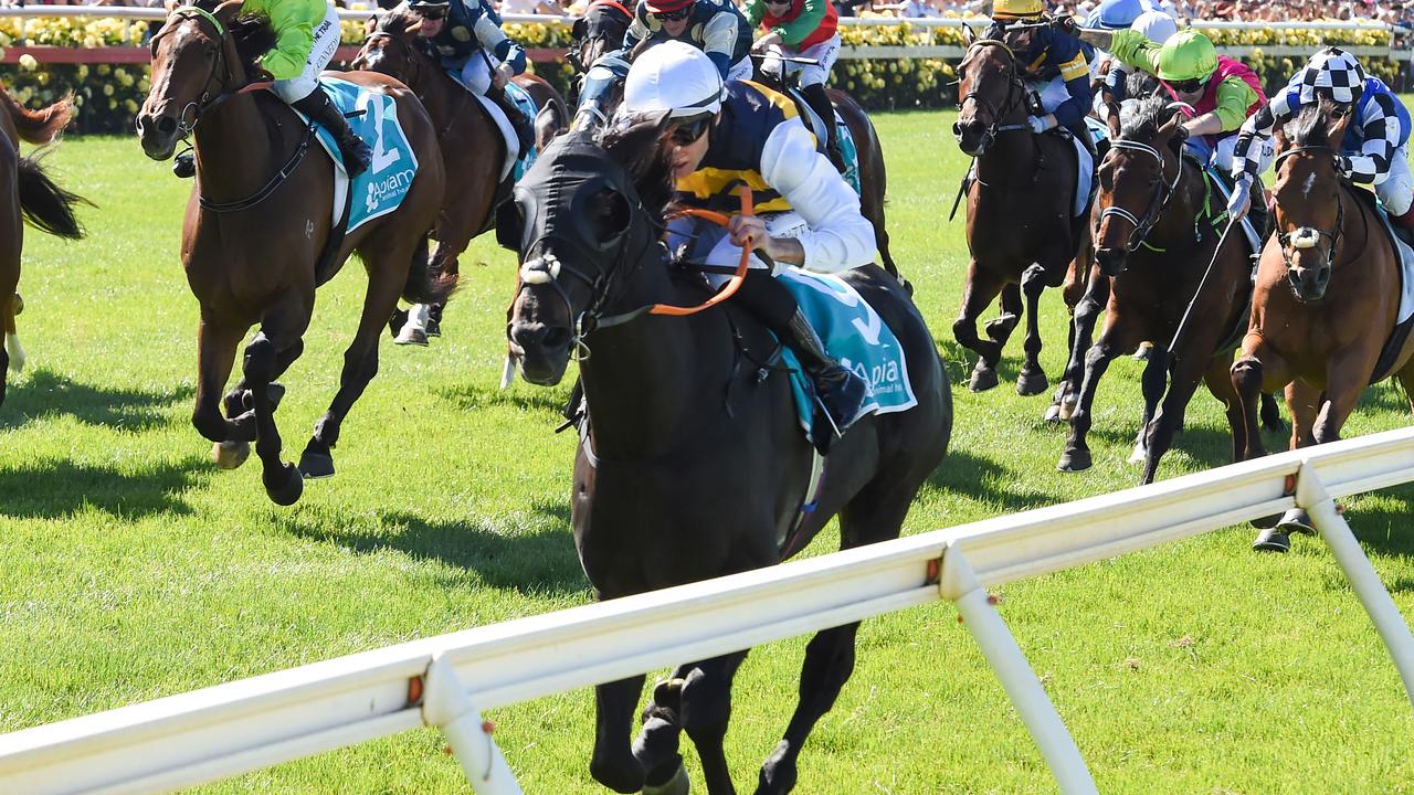 Thoroughbred Sales ready to launch $4 million race series