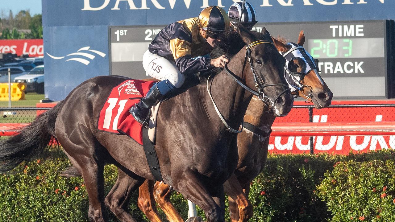Peter Robl stayer Hadouken proves too good again in Darwin Cup