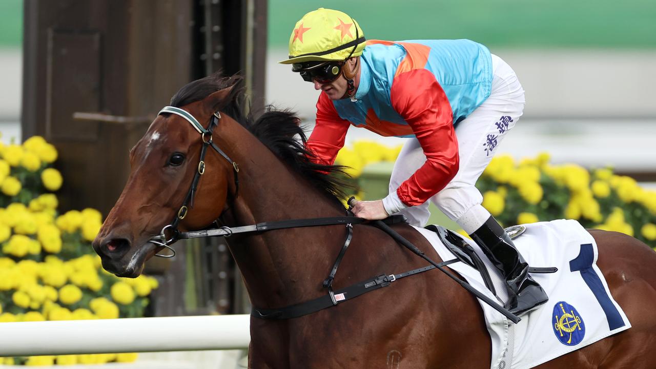 Paolabeatrizz erome nice disposition and speaks well for a