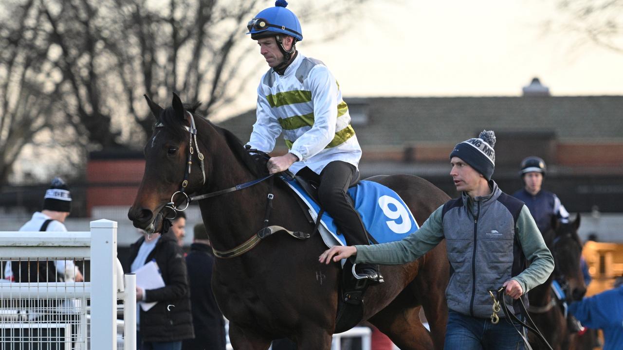 Group 1 winner Skybird trials at Caulfield ahead of spring return