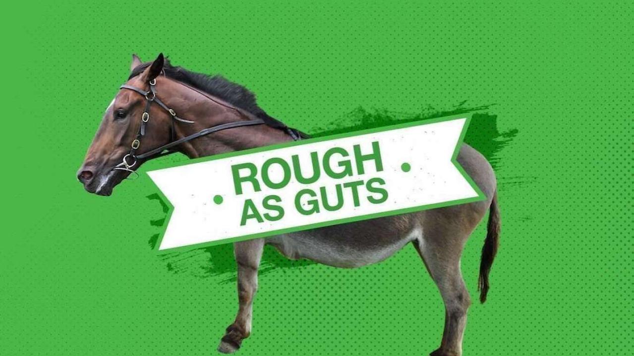 Roughie tips for Saturday's racing [Caulfield, Rosehill]