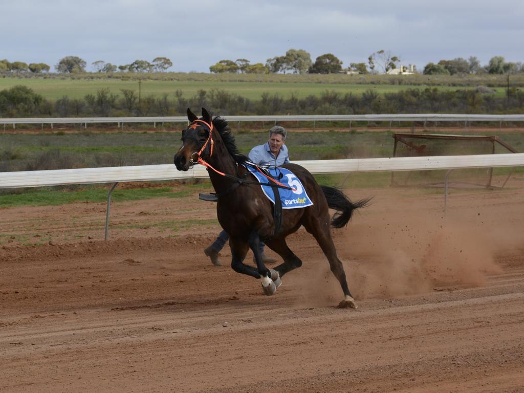 No-race declared after horse causes havoc on Quorn Cup Day