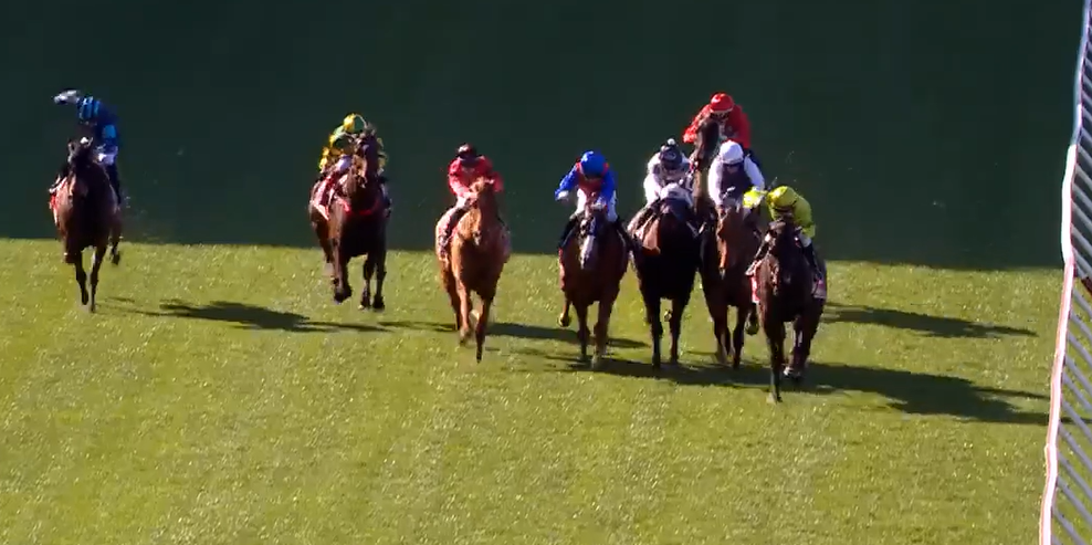 Winx Stakes day in review: Via Sistina back with a bang