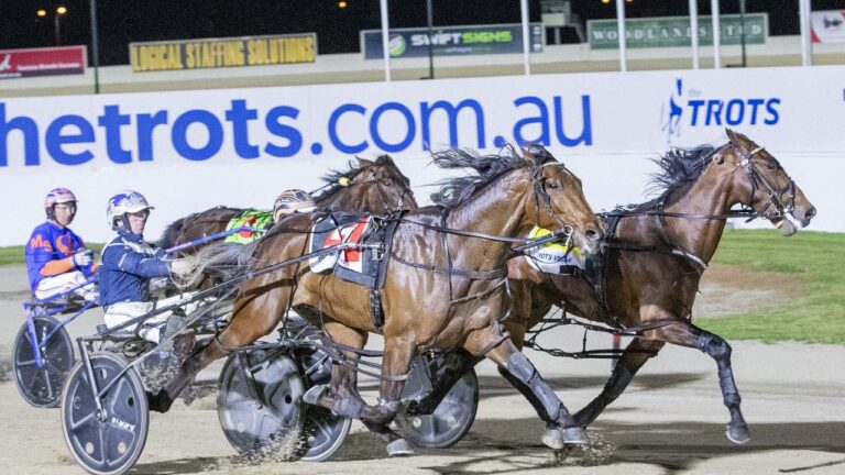 Horse Racing News & Updates | Punters Australia