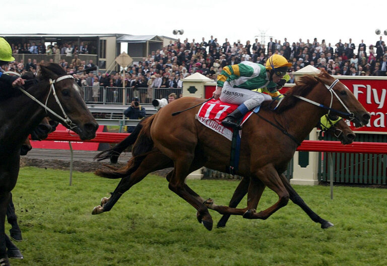 Recently retired jockeys: Where are they now?