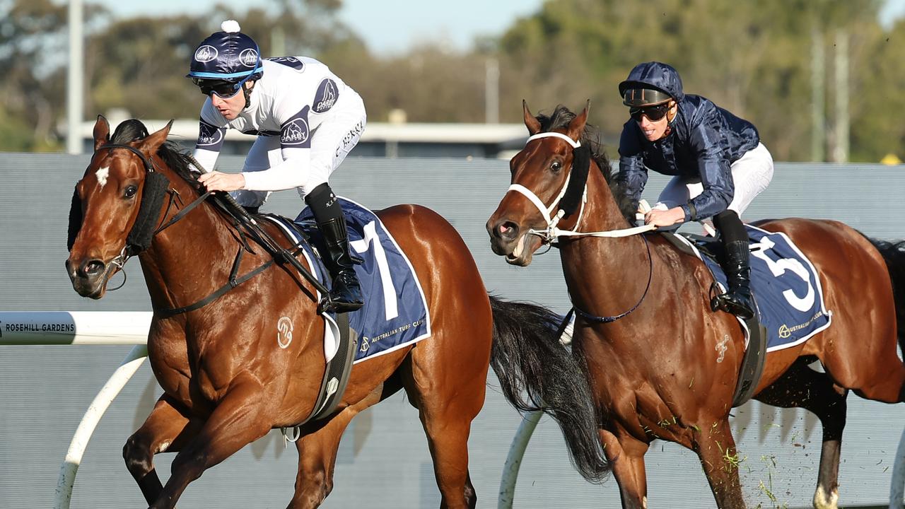 Raging Force powers to San Domenico success