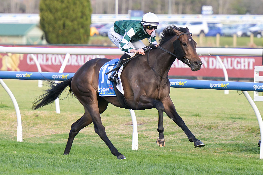 Memsie Stakes day in review [August 30, 2025]