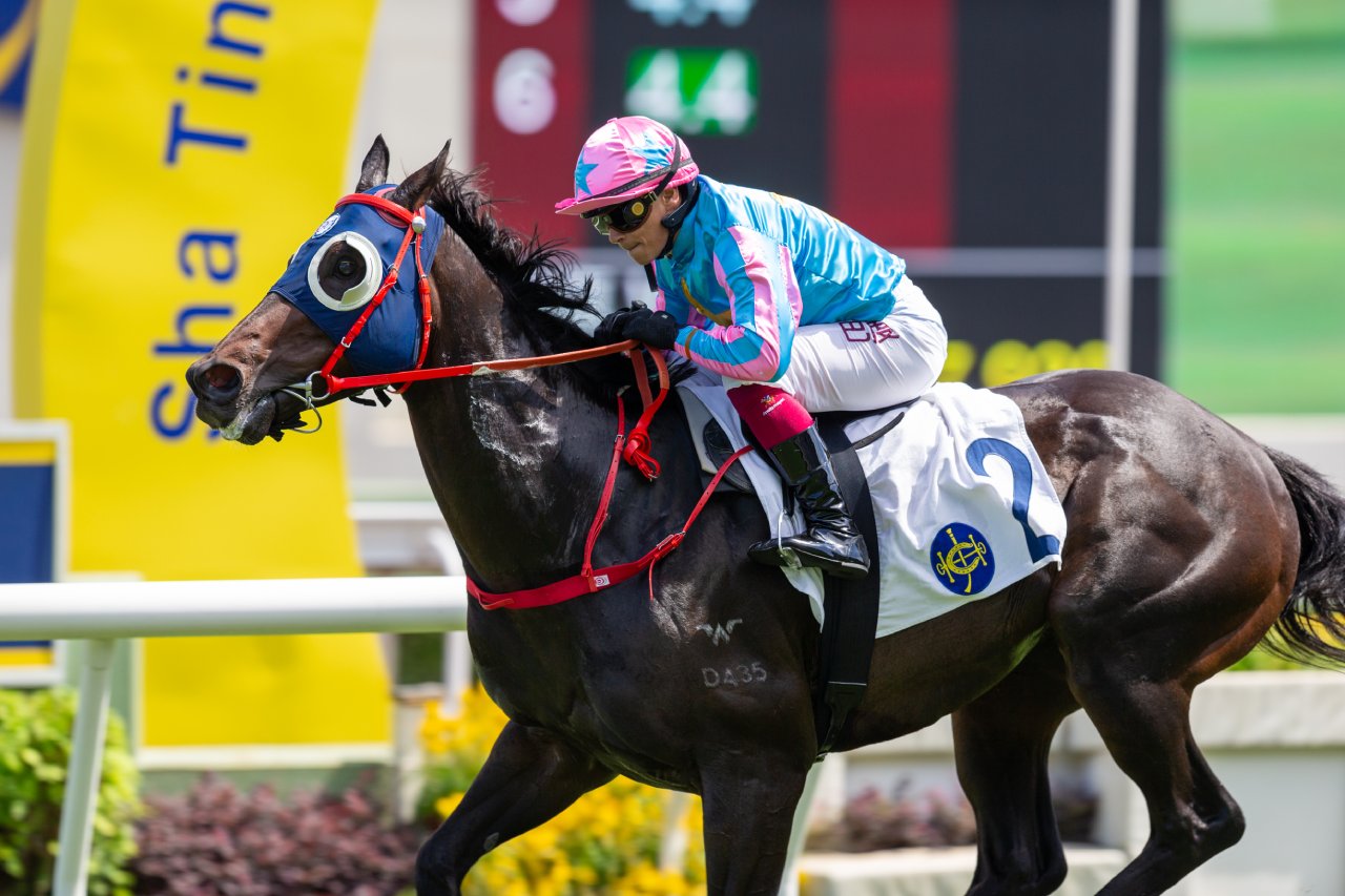 Alexis Badel primed for new season; My Wish trials ahead of G3 return