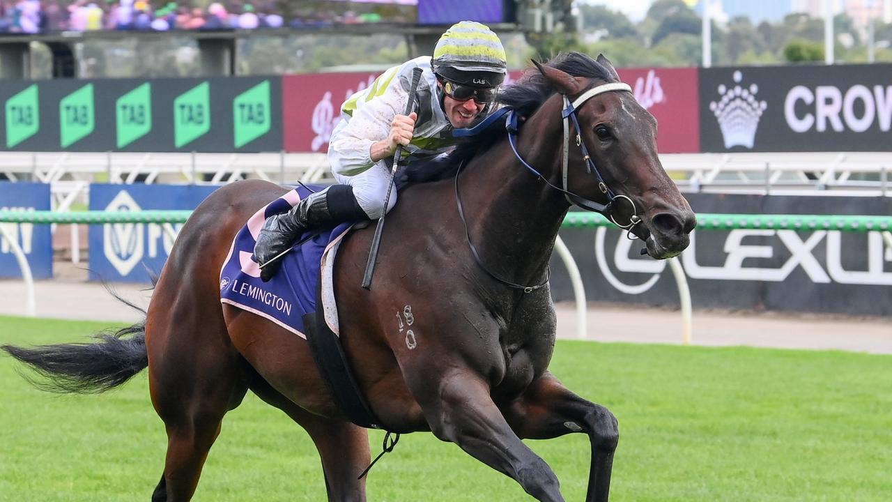 Moir Stakes 2025 runner-by-runner form analysis and tips