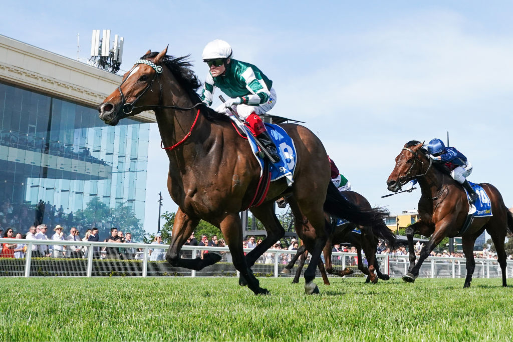 Sir Rupert Clarke Stakes Field - 2025