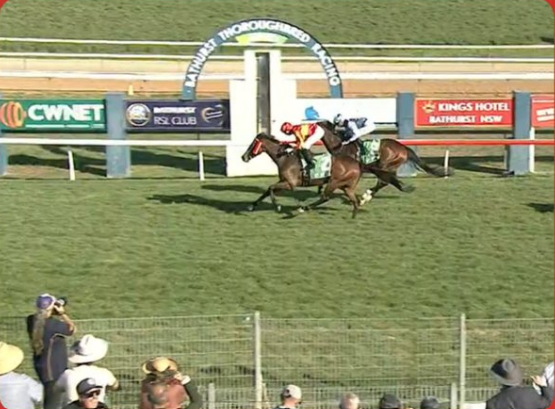 Bathurst Cup 2025 Betting, Form Guide & Tips - Punters