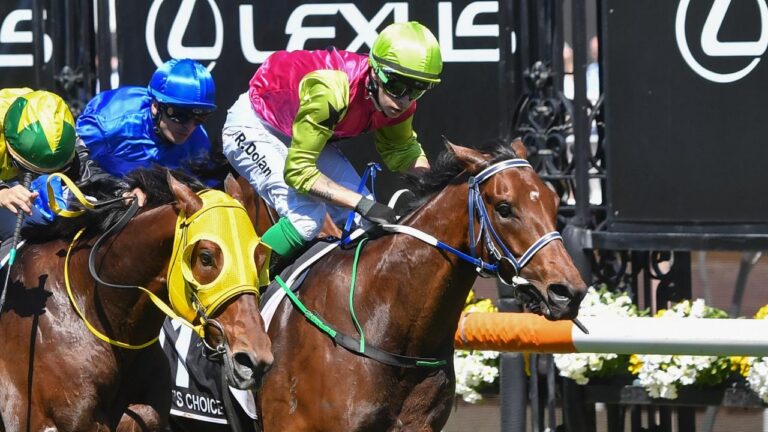 Melbourne Cup Day 2024 scratchings