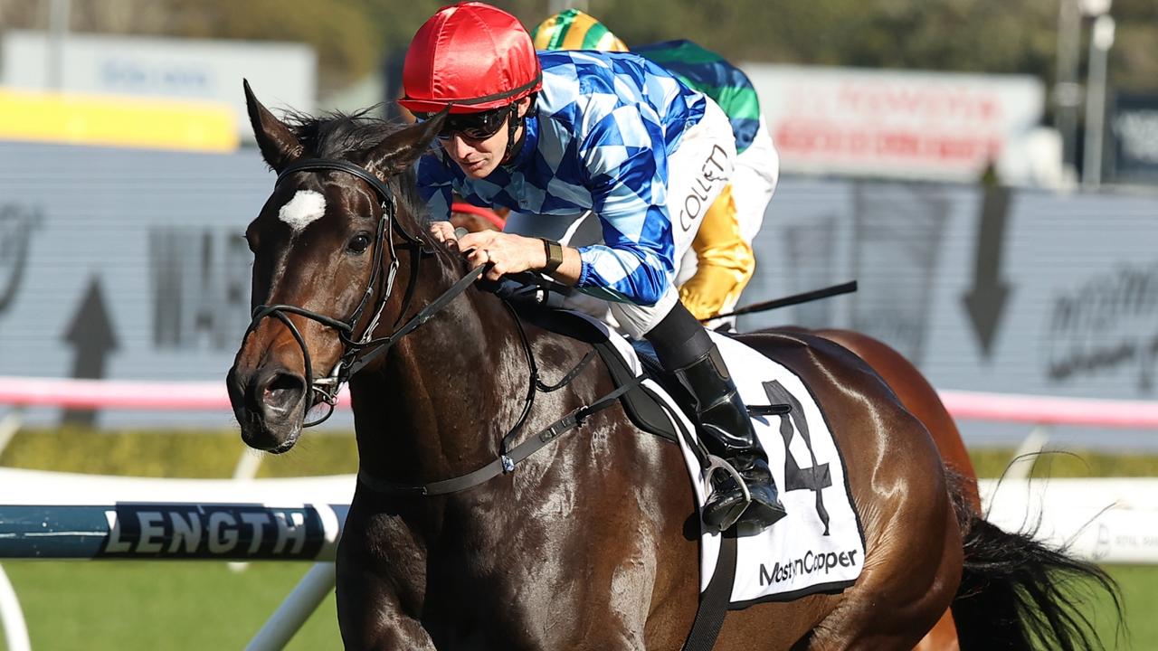 Pfieffer's Diamond to ‘take luck out of the equation' in Tibbie - Punters