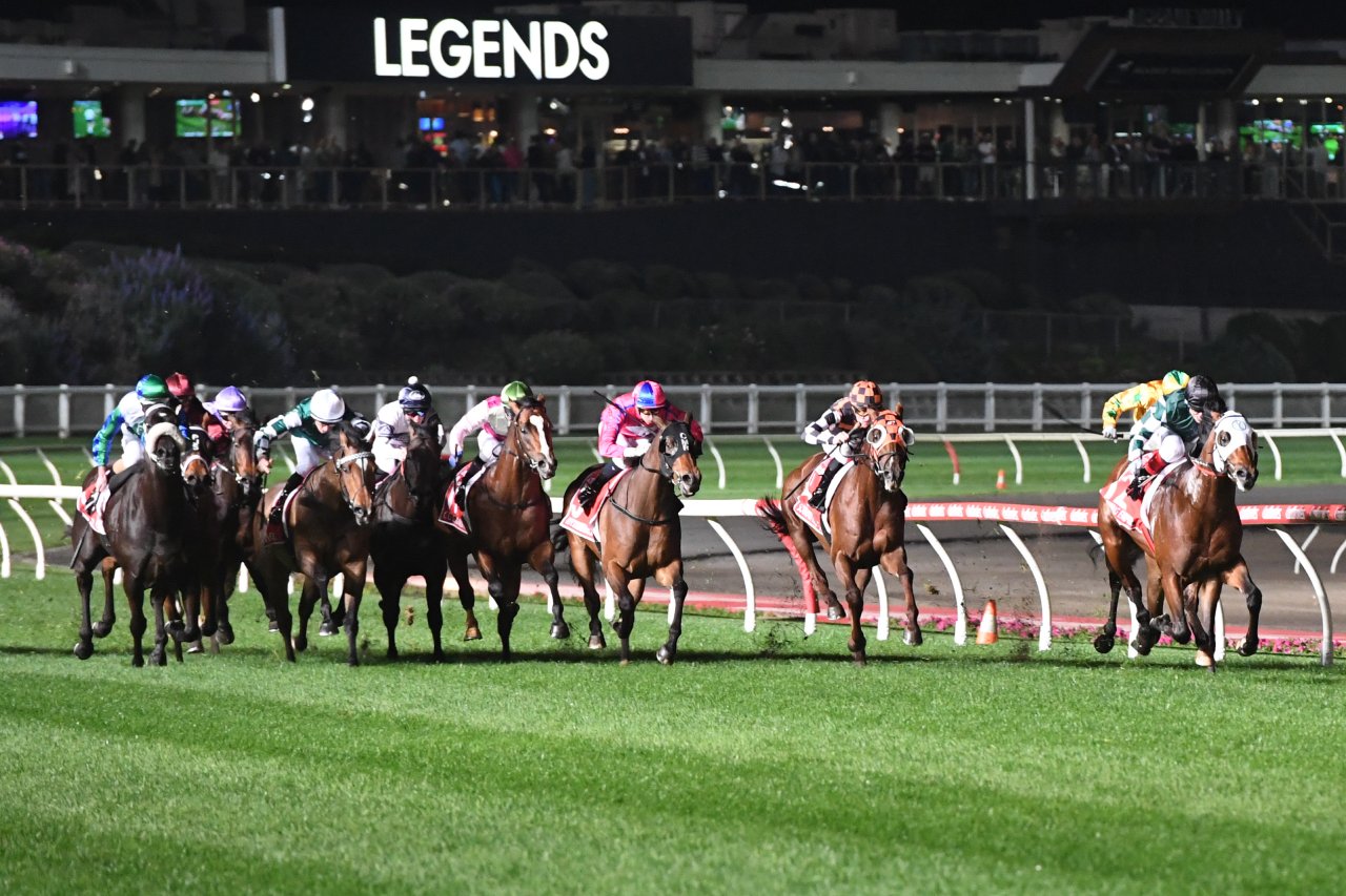 2025 Manikato Stakes tips: Runner-by-runner preview