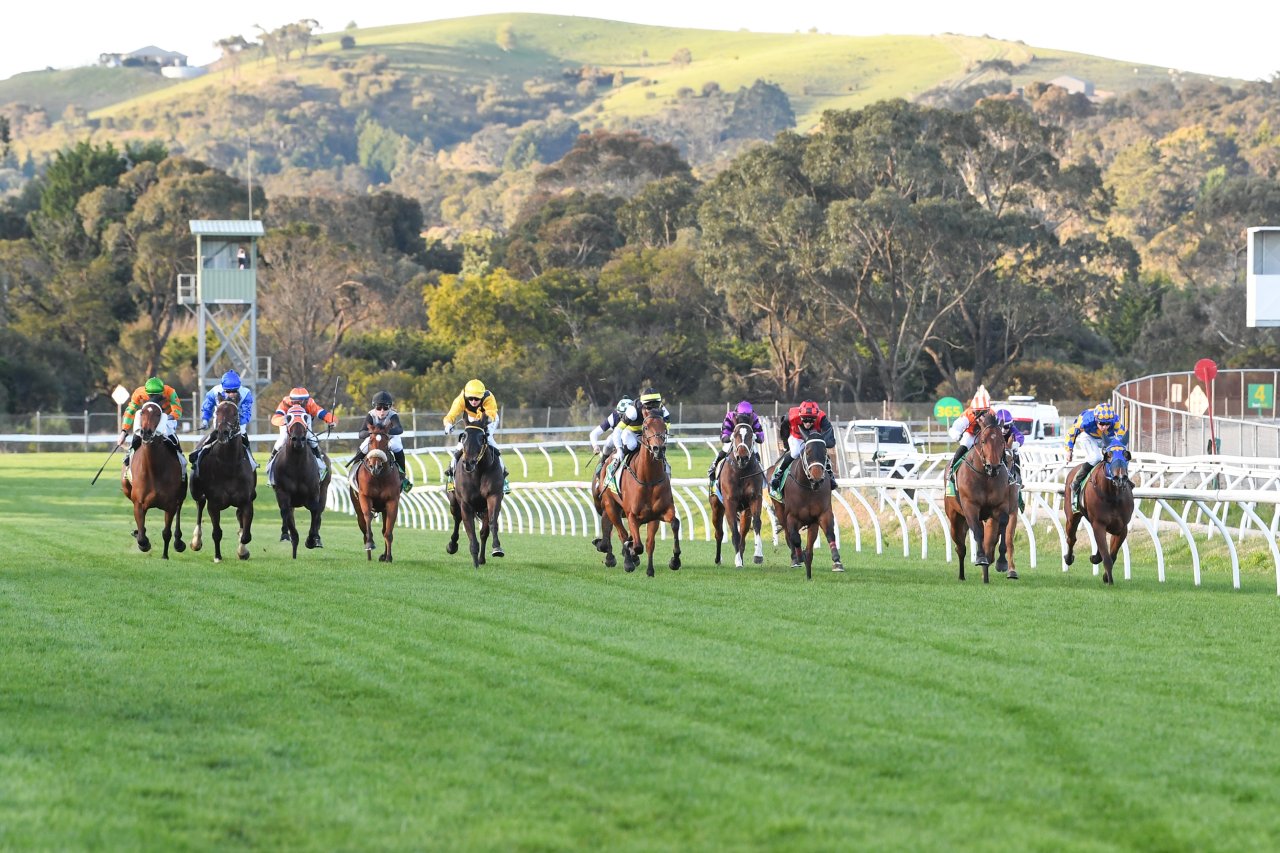 On The Punt: Tips for racing at Kilmore on Monday