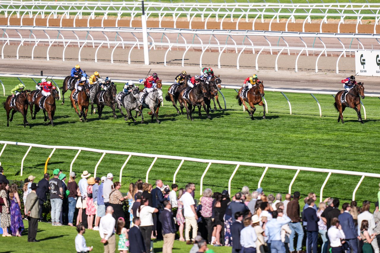 'Can't feel my arms': Jamie Melham explains Gilded Water ride