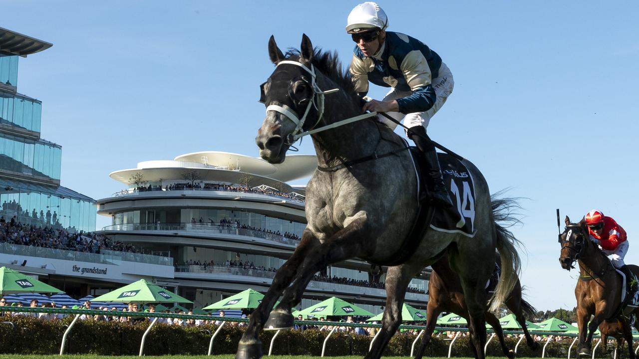 Royal Supremacy, Valiant King cop Caulfield Cup weight penalties - Punters