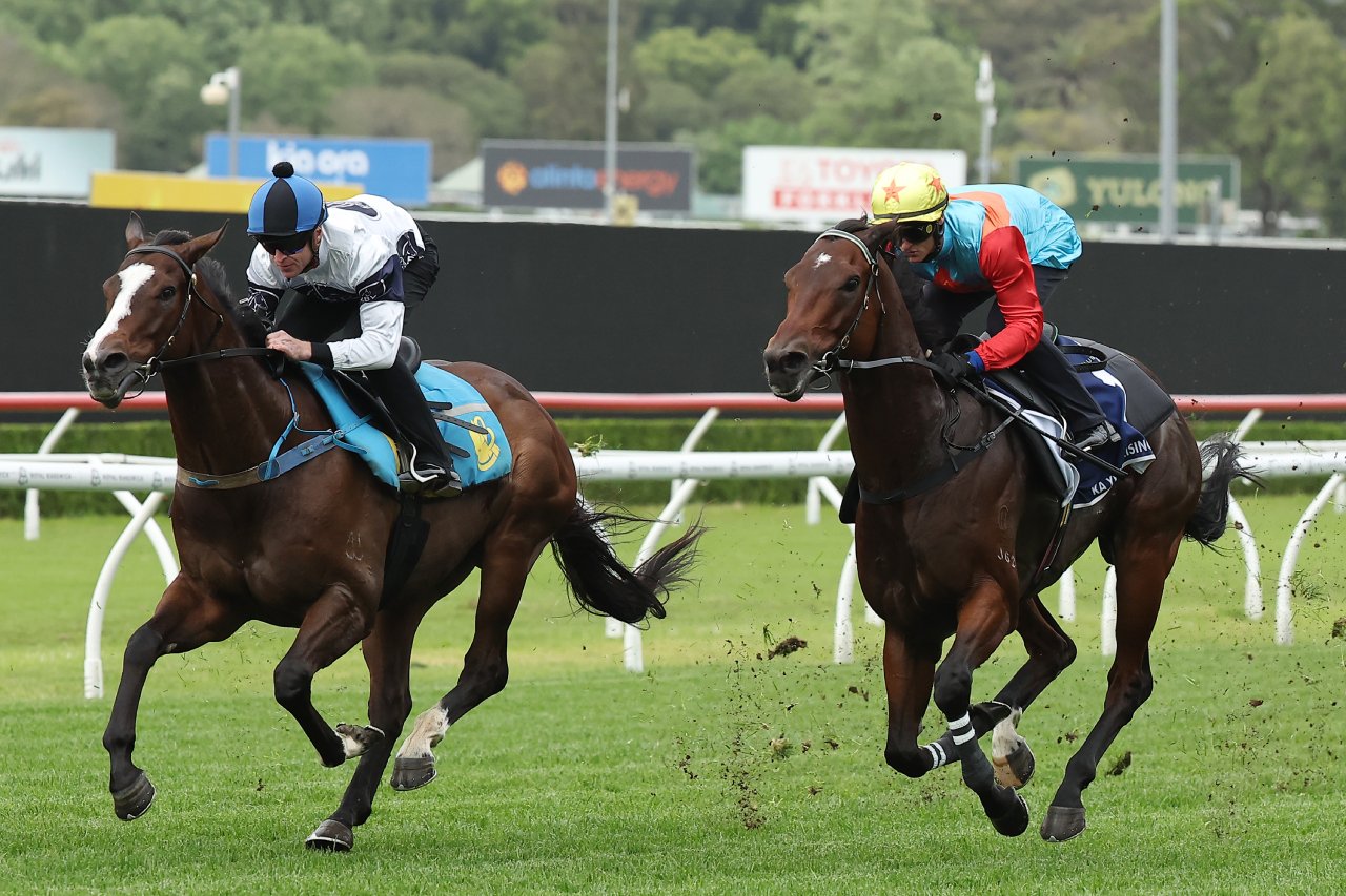 The Everest and King Charles trial report: Grading Ka Ying Rising