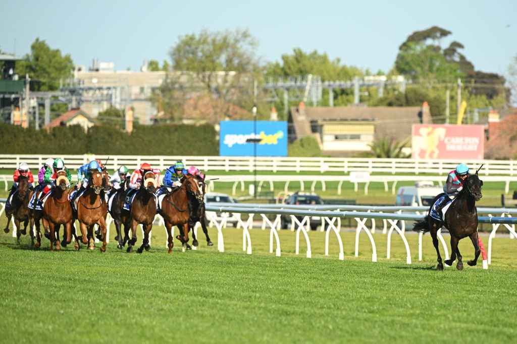 Toorak Handicap Field - 2025 - Punters