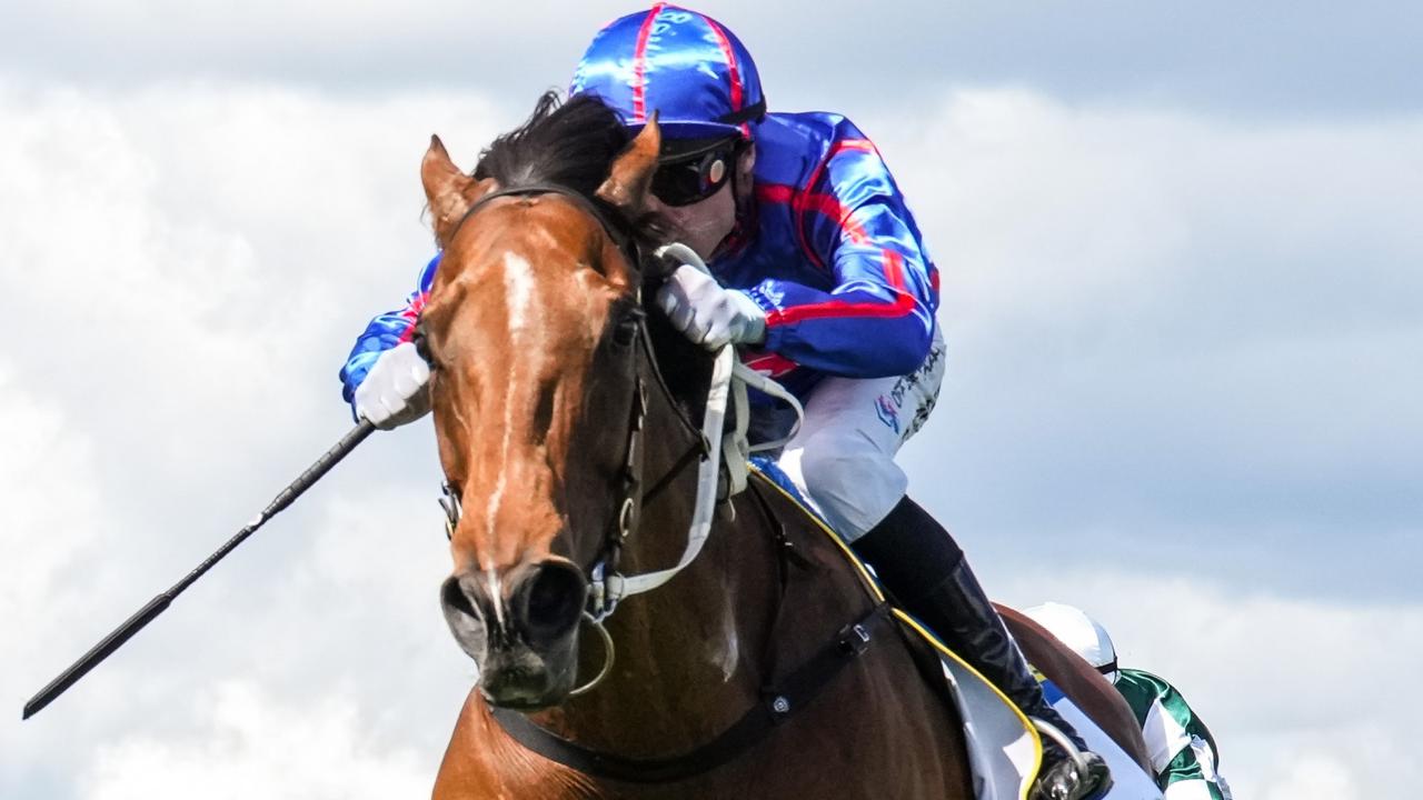 Price explains math behind Globe's $200k Cox Plate gamble