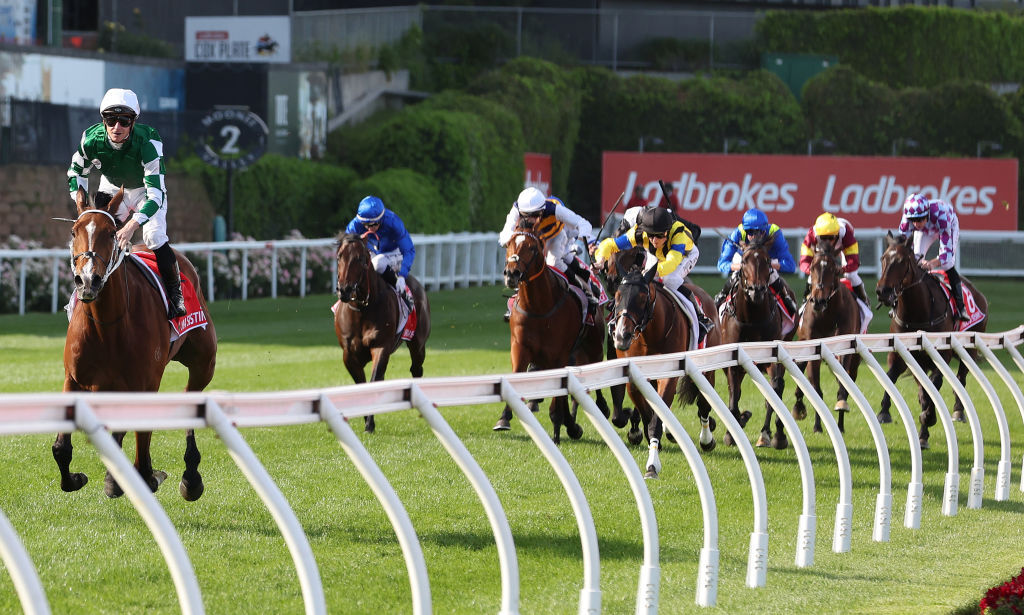 Cox Plate Odds - 2025 - Punters