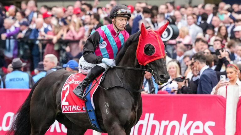 Tony Gollan makes Antino call as Cox Plate flop remains a mystery
